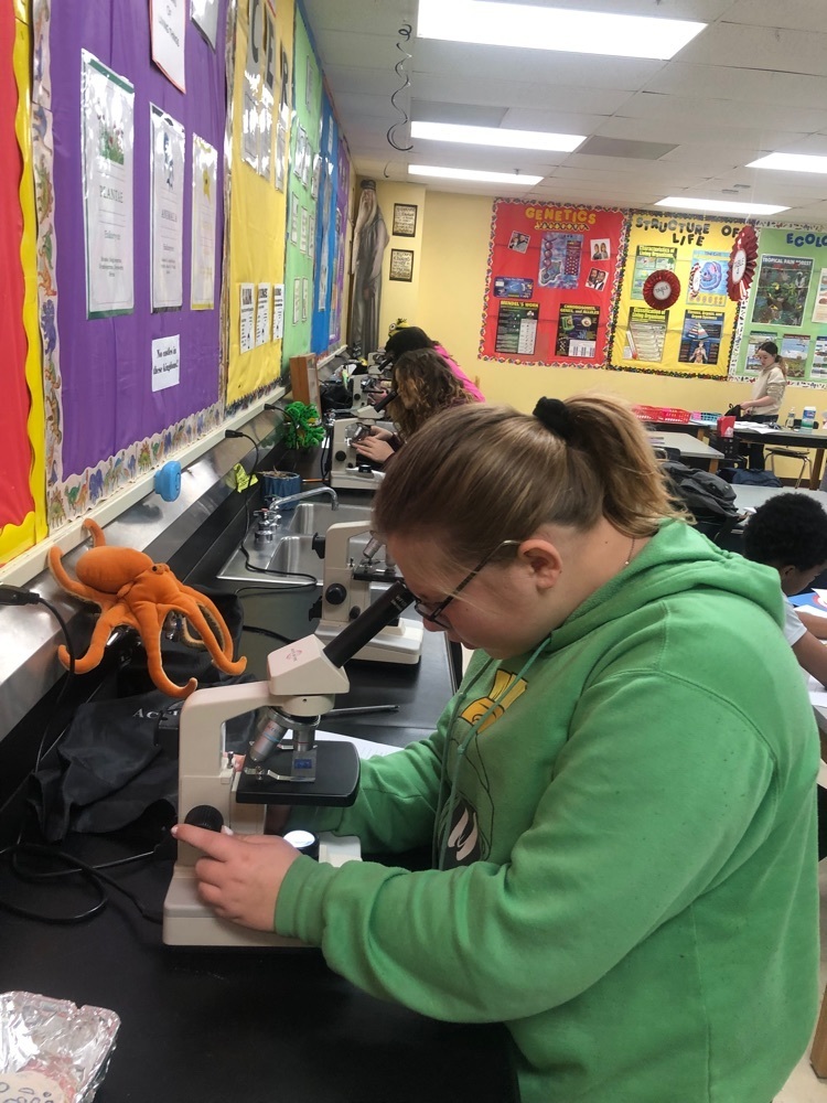 Live Feed | Reagan Middle School